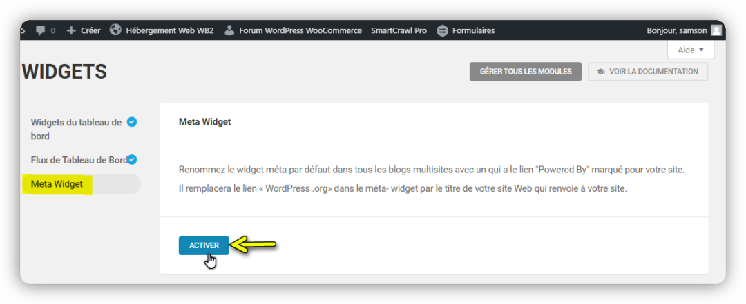 Meta Widget | WooFrance Dépannage et support WordPress -WooCommerce