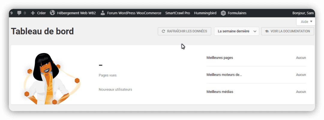 Tableau de bord Beehive | WooFrance Dépannage et support WordPress ...